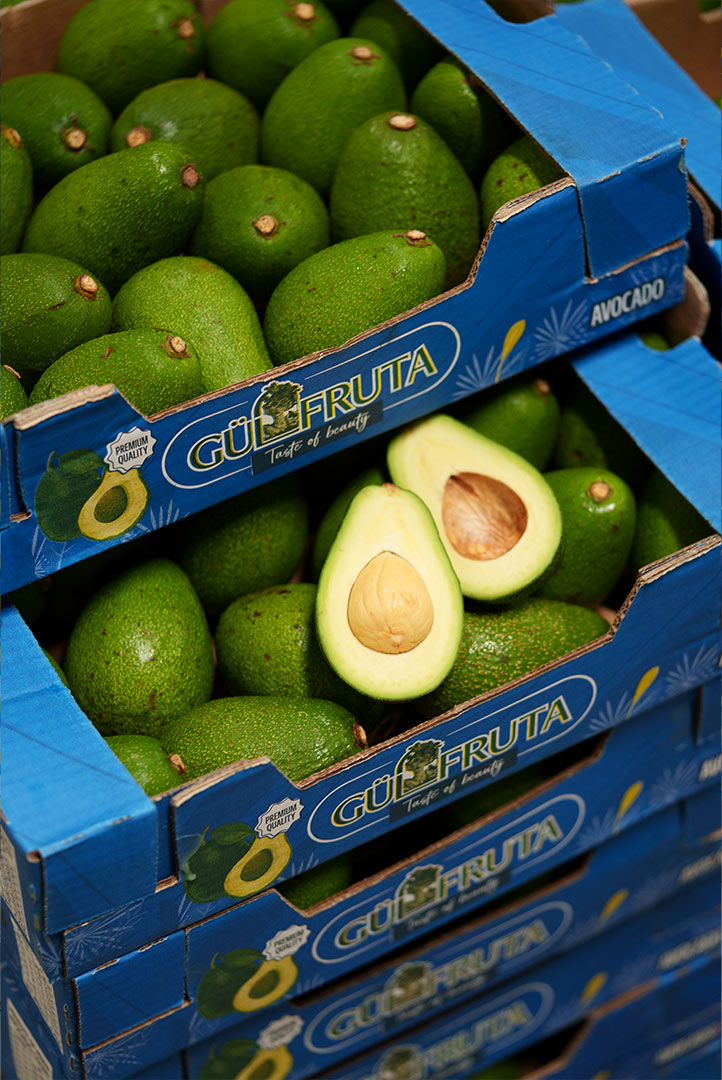 Avocado